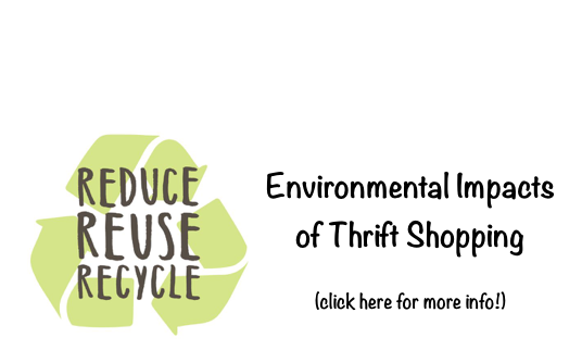 Environmental Impacts of Thrift Shopping | New 2 You